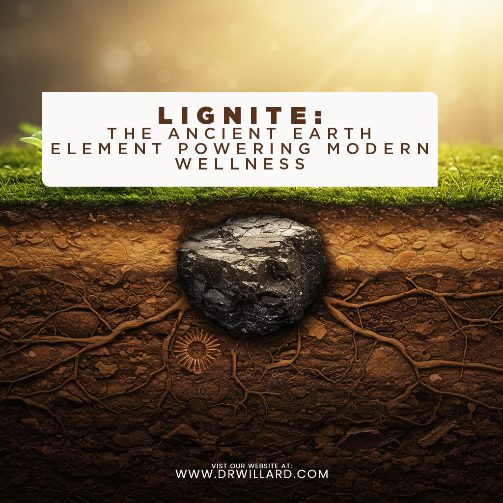 🌱 Lignite: Ancient Earth Power Fueling Modern Wellness – Dr Willard