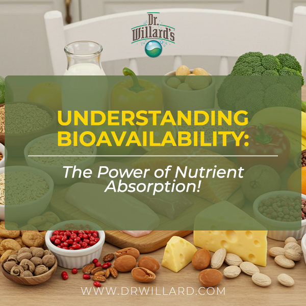 Understanding Bioavailability: The Power of Nutrient Absorption! – Dr ...