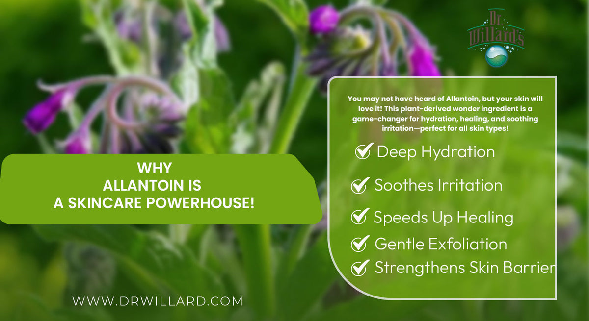 Why Allantoin is a Skincare Powerhouse! – Dr Willard